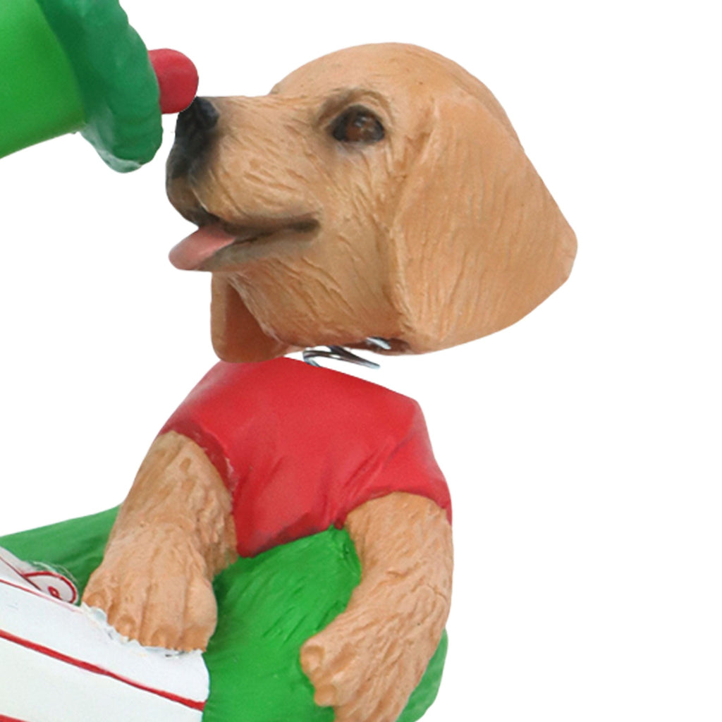 Phillie Phanatic & Tugger Philadelphia Phillies Dual Bobblehead FOCO