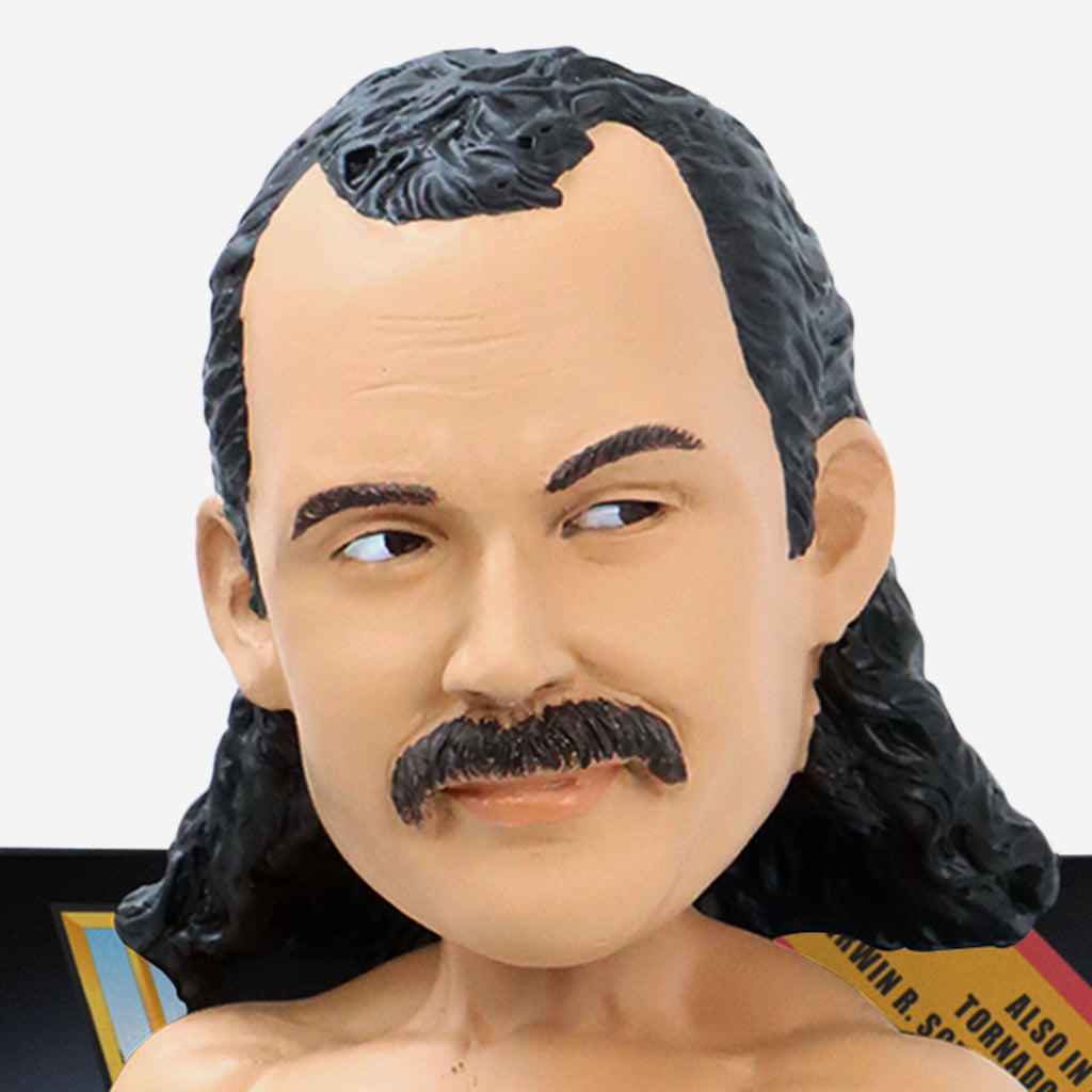 Jake The Snake Roberts The Snake WWE Magazine Cover Bobblehead FOCO