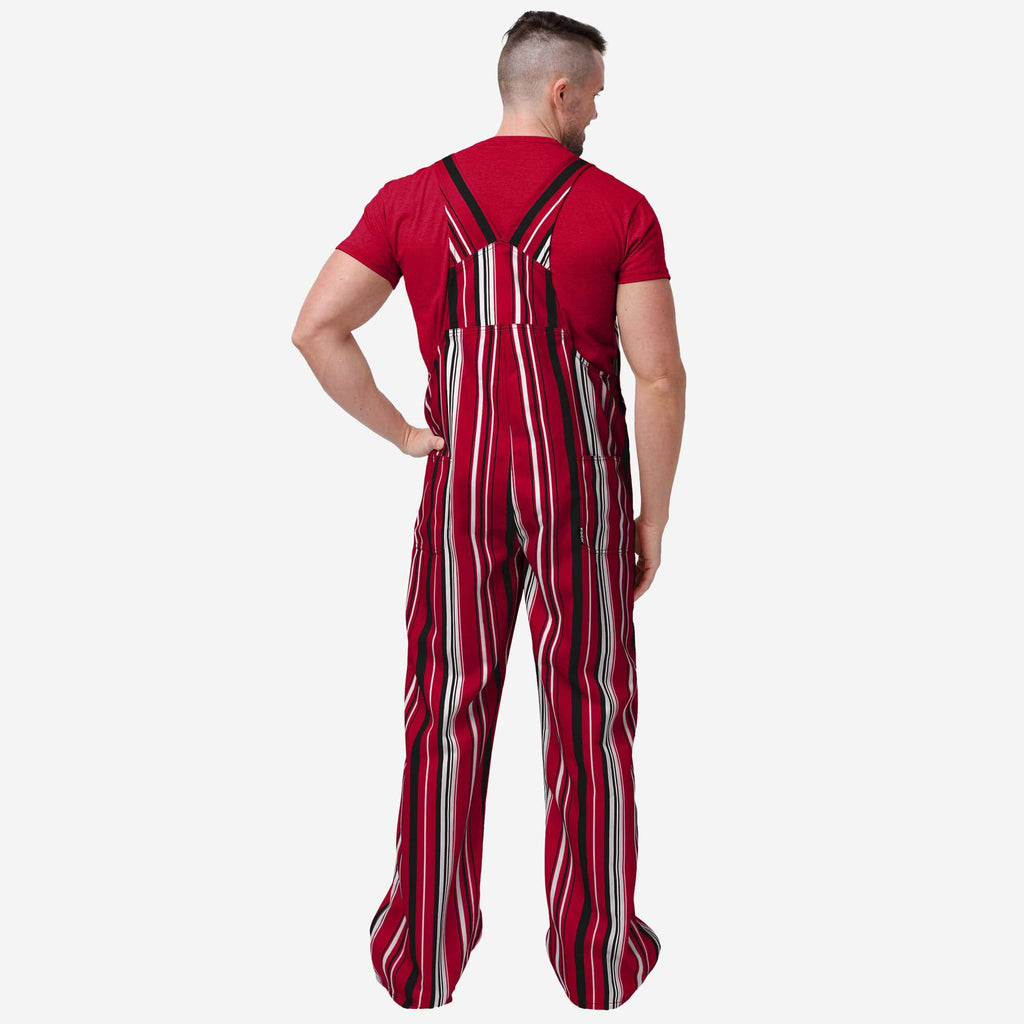 Wisconsin Badgers Mens Hyper Stripe Bib Overalls FOCO