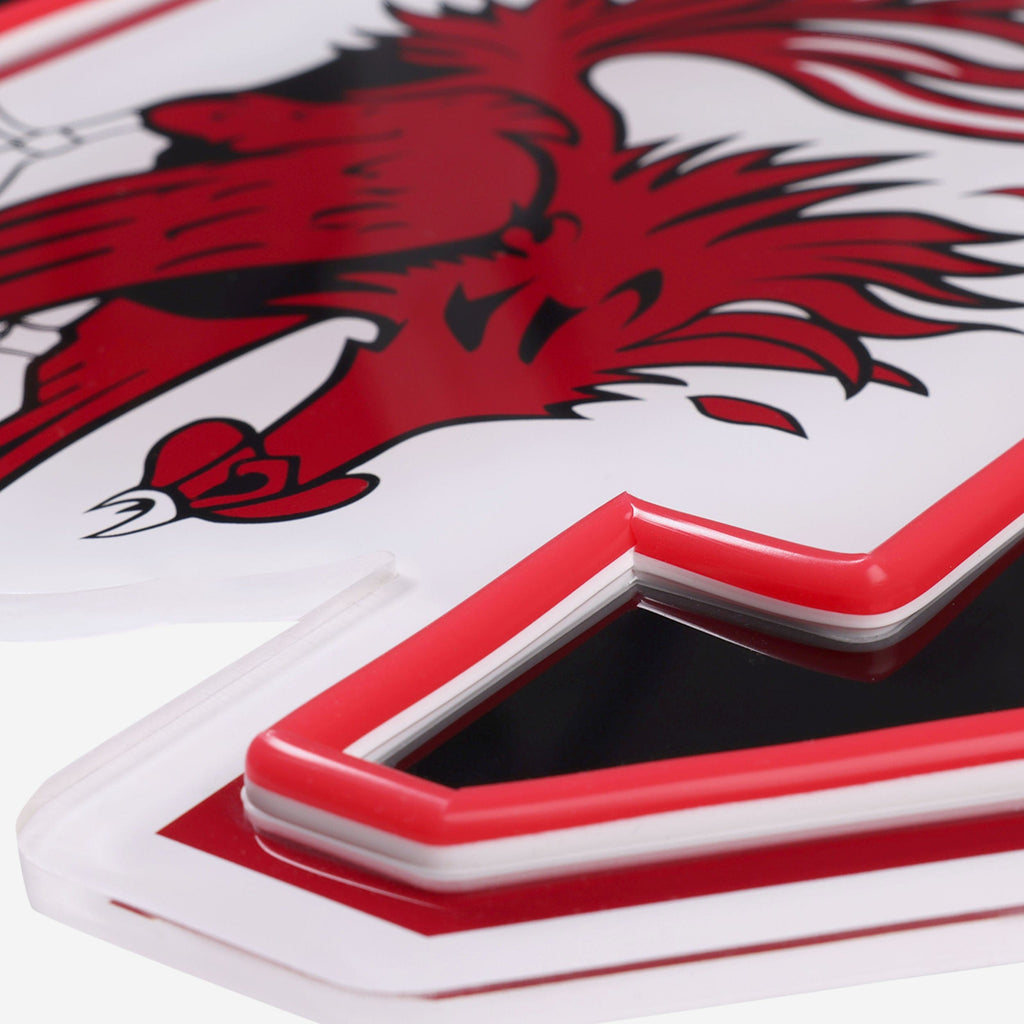 South Carolina Gamecocks LED Neon Light Up Team Logo Sign FOCO