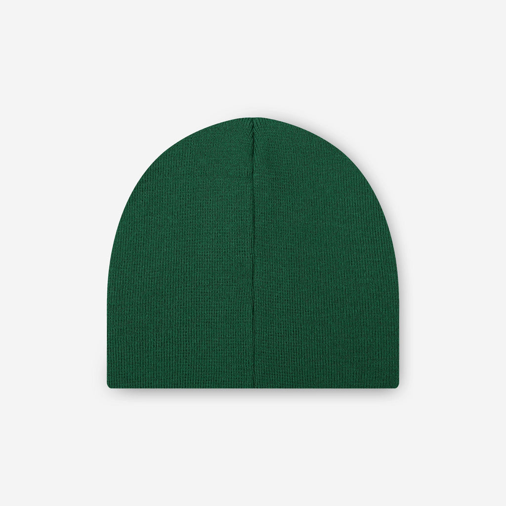 New York Jets Basic Primary Logo Skull Beanie FOCO