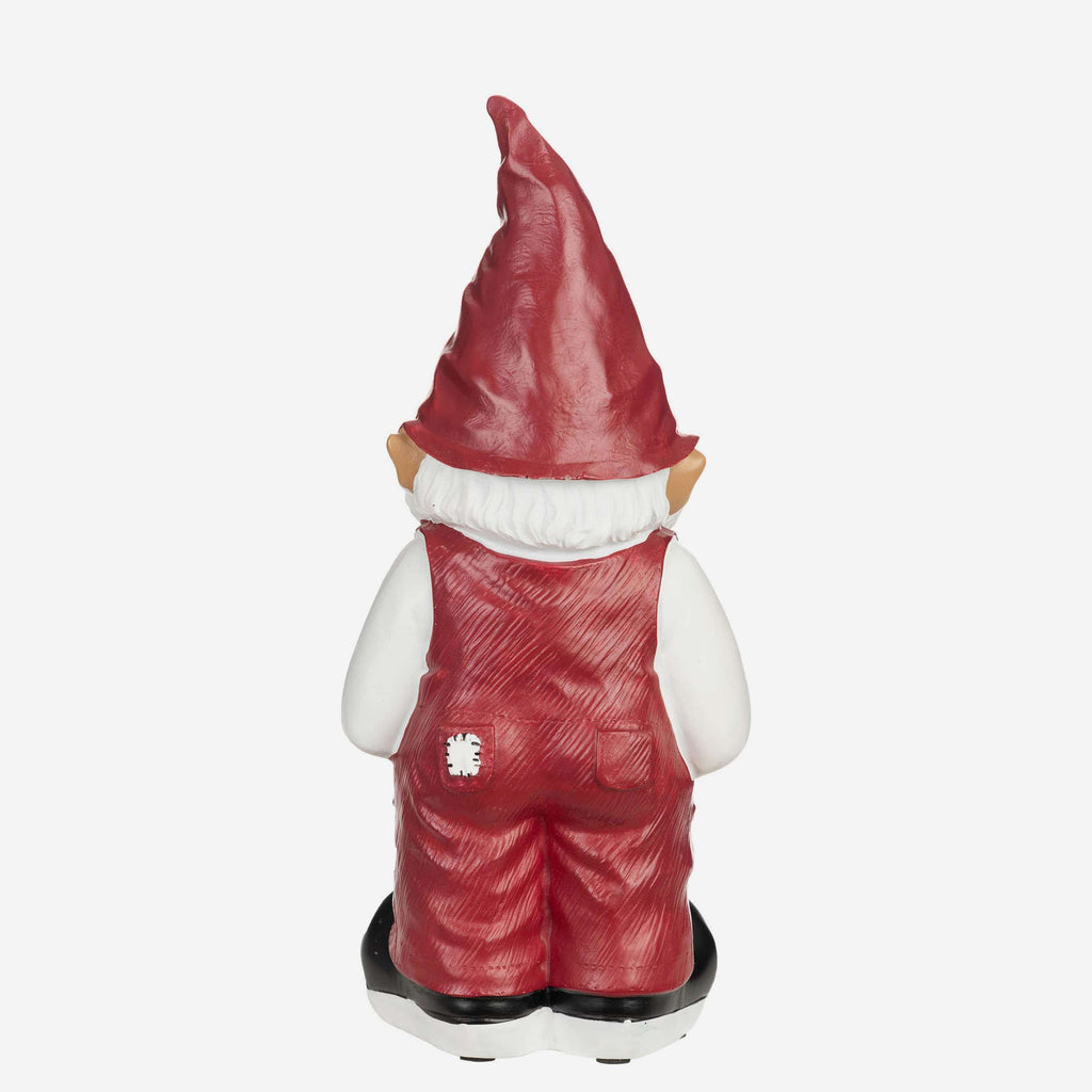 Arkansas Razorbacks Team Gnome FOCO
