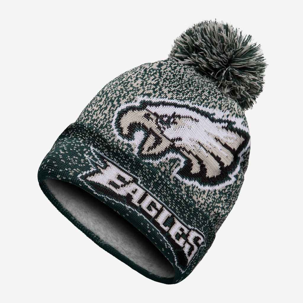 Philadelphia Eagles Matrix Beanie FOCO