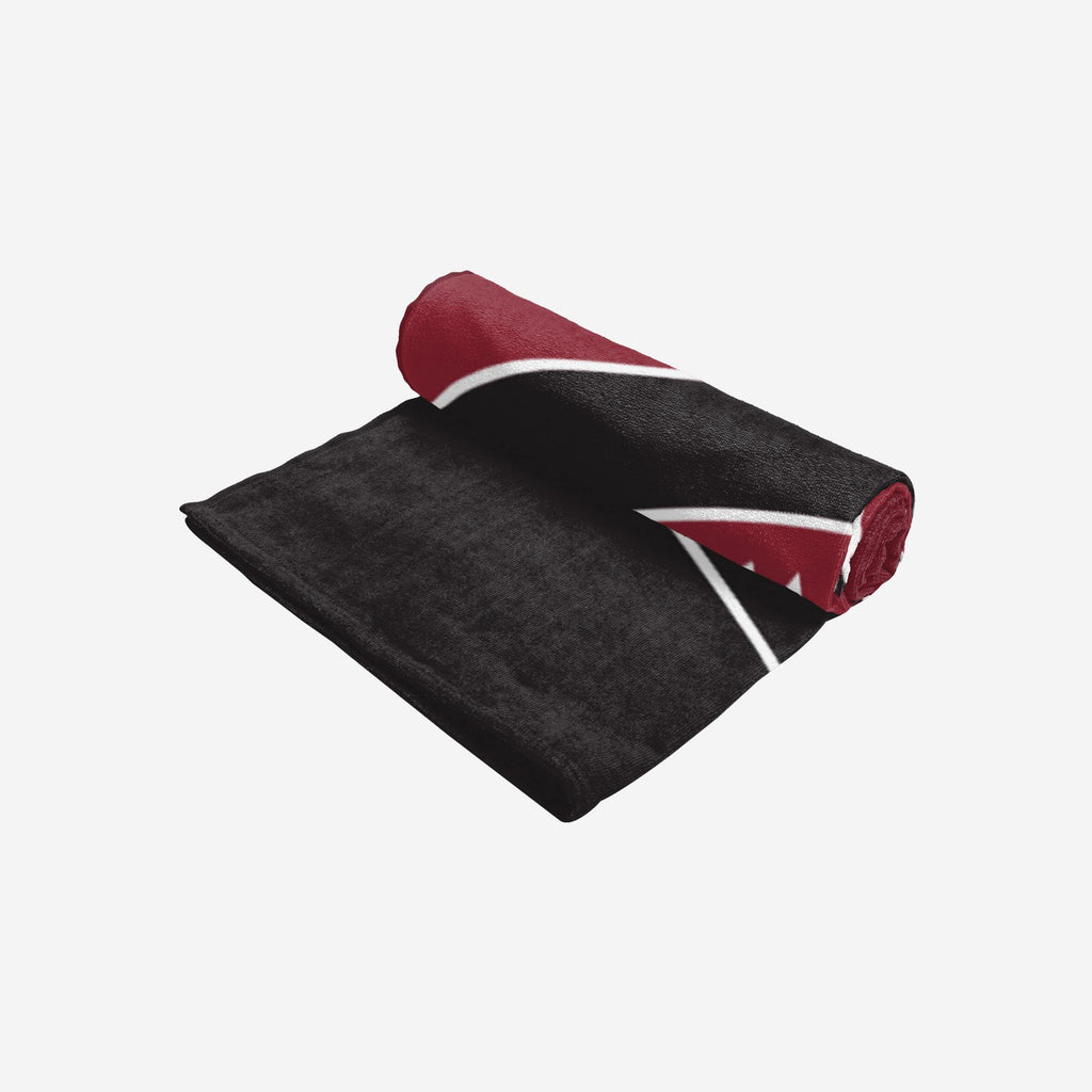 South Carolina Gamecocks Big Logo Beach Towel FOCO